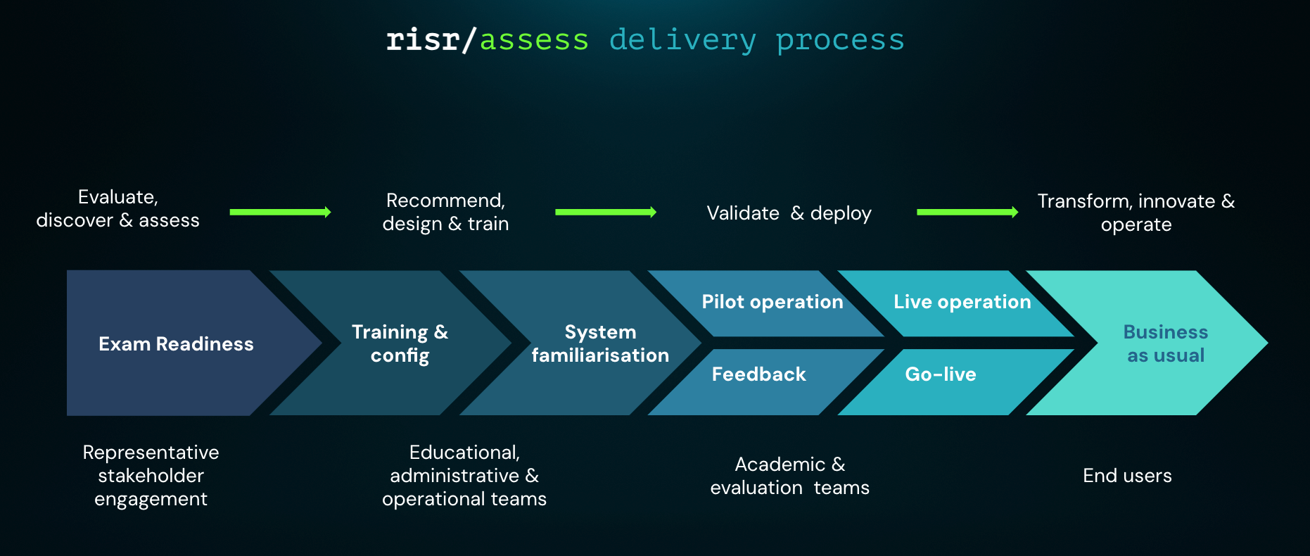 Project delivery process – risr/assess