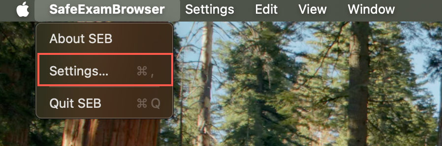 Safe exam browser – risr/assess
